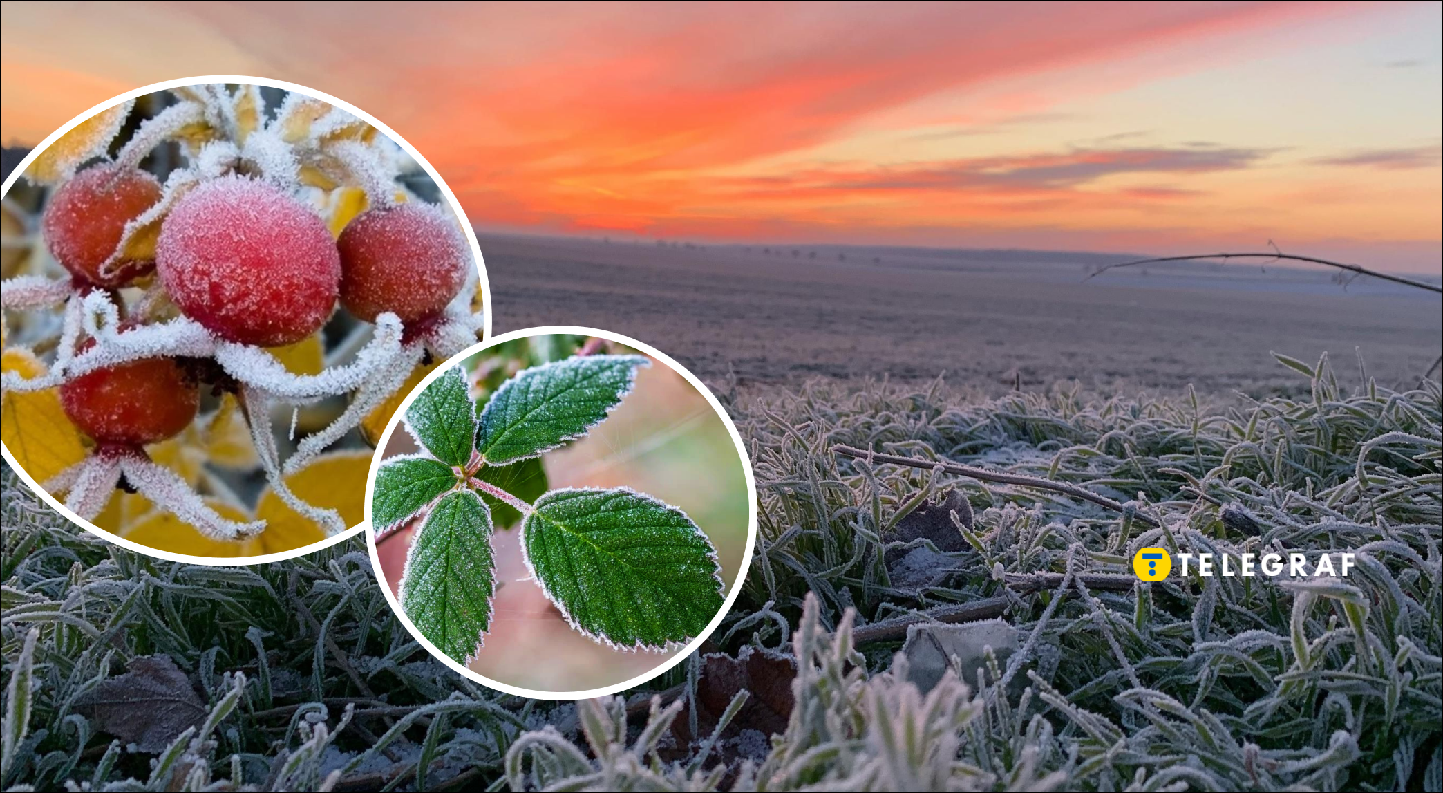 Сильні заморозки та сніг. Коли та де сильно зіпсується погода в Україні. Новини Суспільства-UKR.NET
