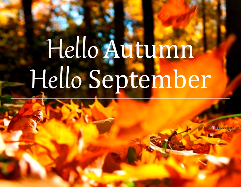 З настанням осені 2022 Привітання у яскравих листівках та картинках для близьких та друзів