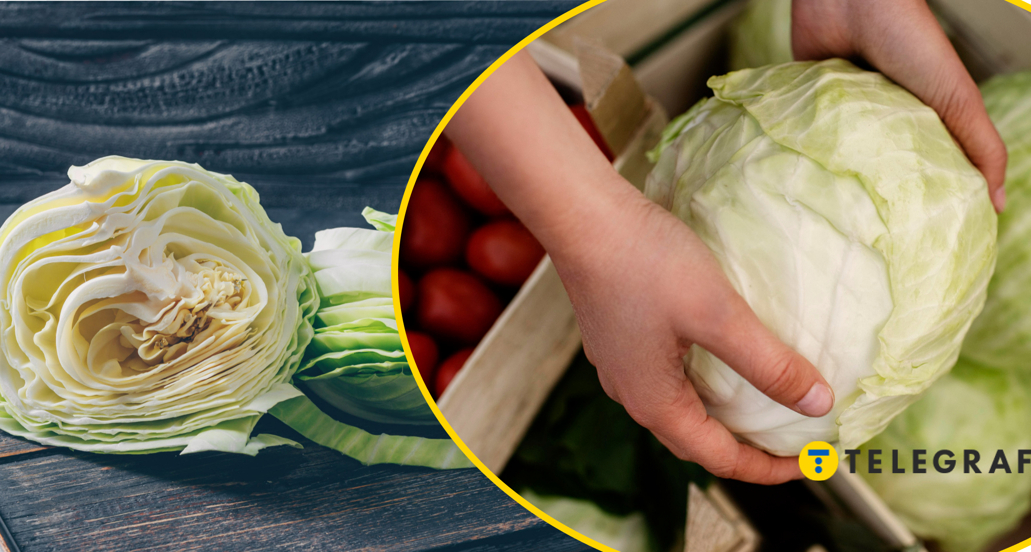 How to store cabbage fresh and rot-free until next summer | News Minimalist