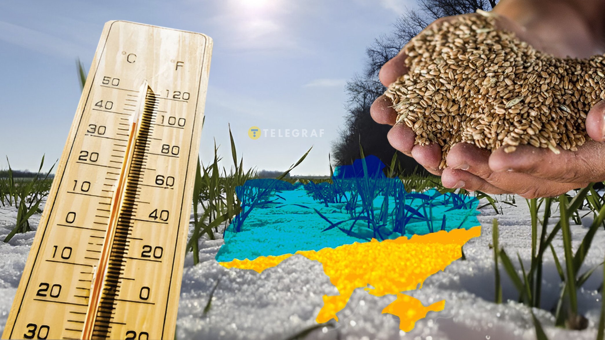 Ukraine's winter crops face frost damage and drought risks | News ...