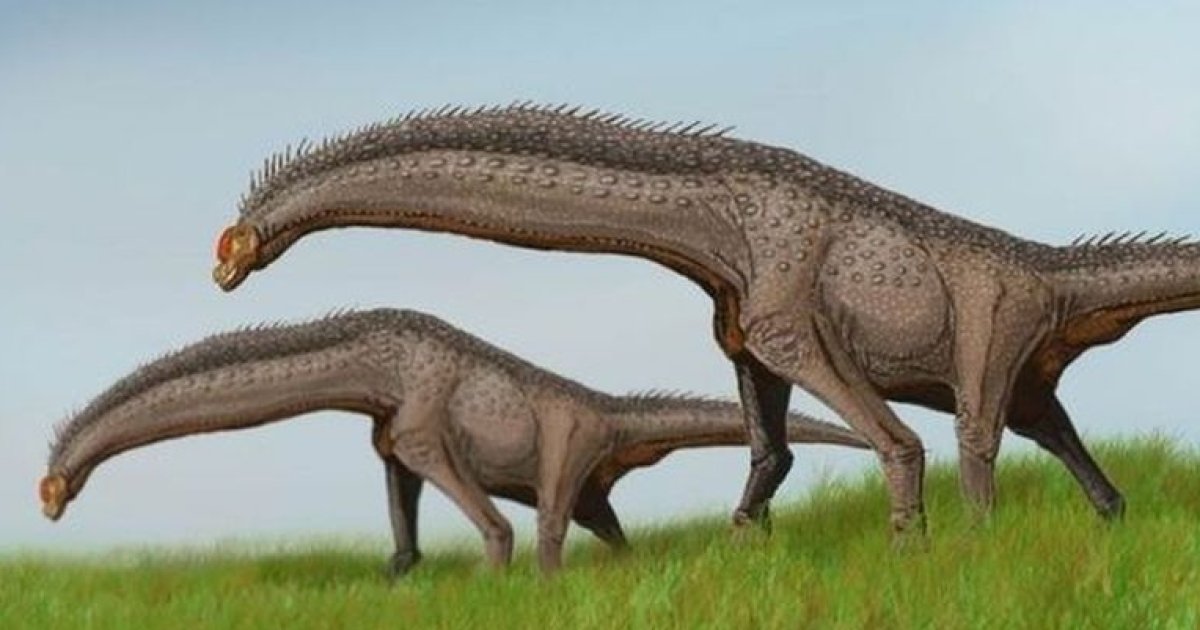 В Якутии найдены останки самых северных зауропод (Фото) - Телеграф