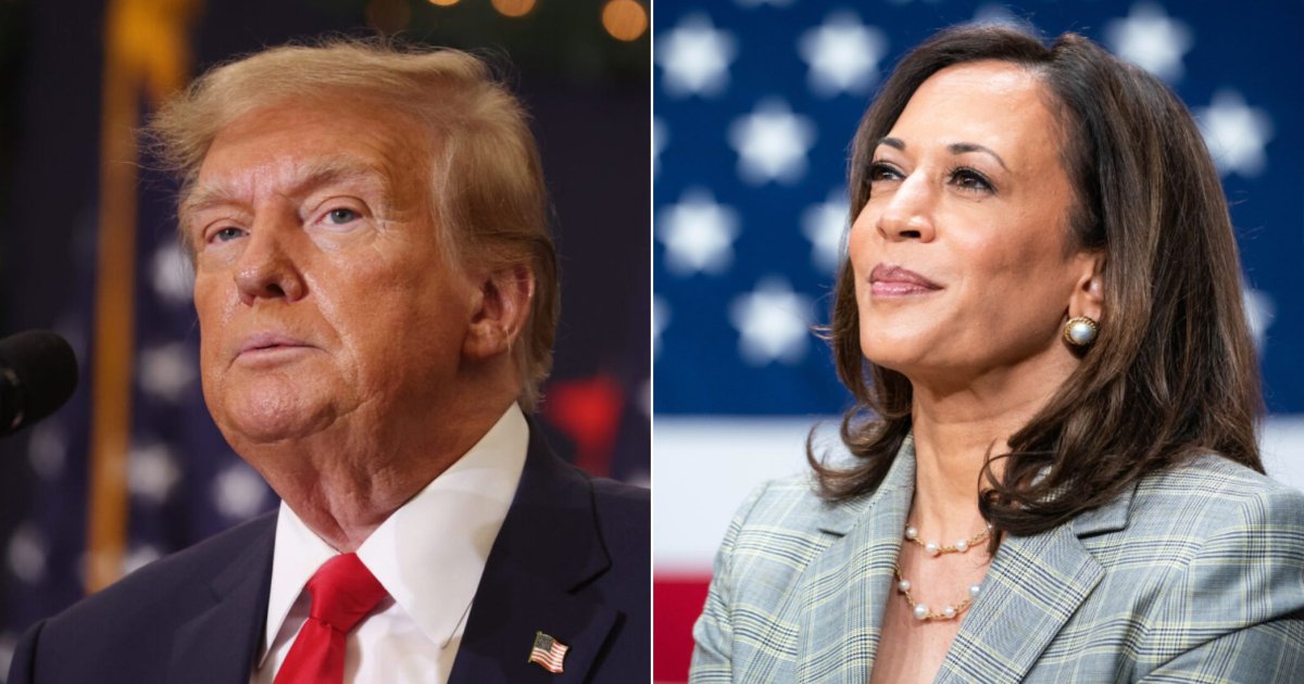 U.S. presidential election - what Harris's policy regarding Ukraine tp expect and what are the ...