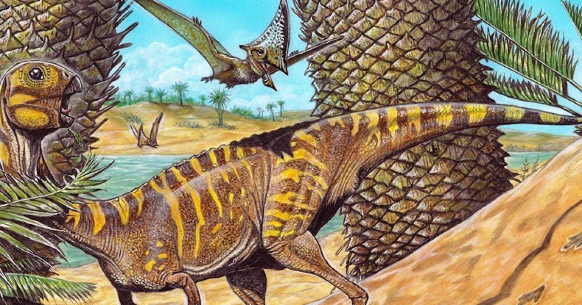 Ученые открыли новый вид динозавра Berthasaura leopoldinae, фото - Телеграф